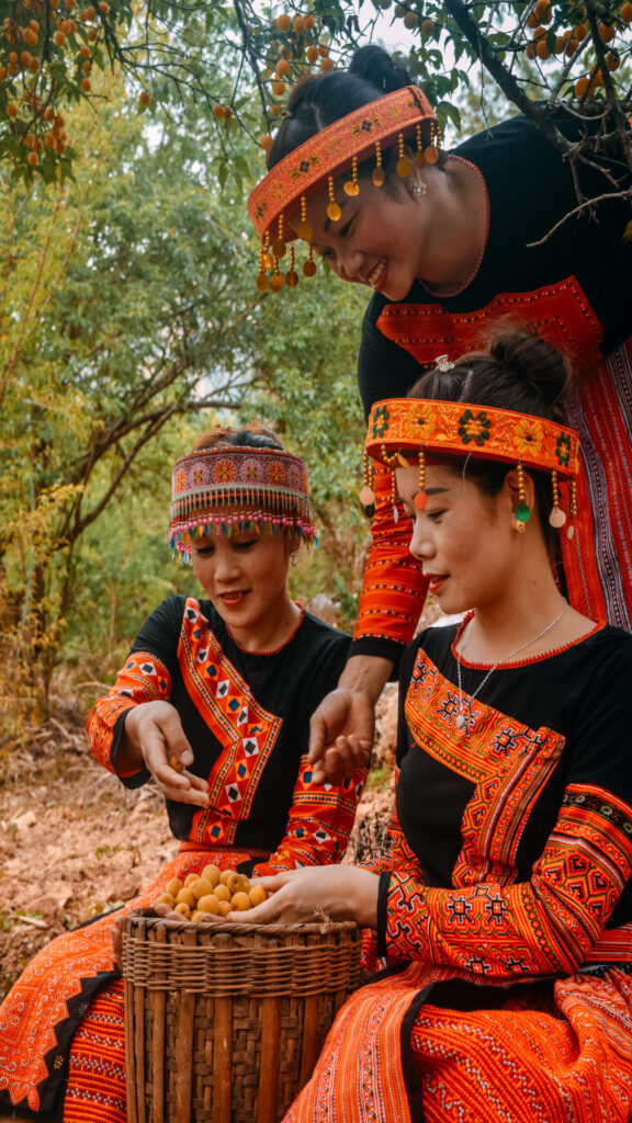 BỘ SƯU TẬP RƯỢU SÍN CHẢI - Sín Chải